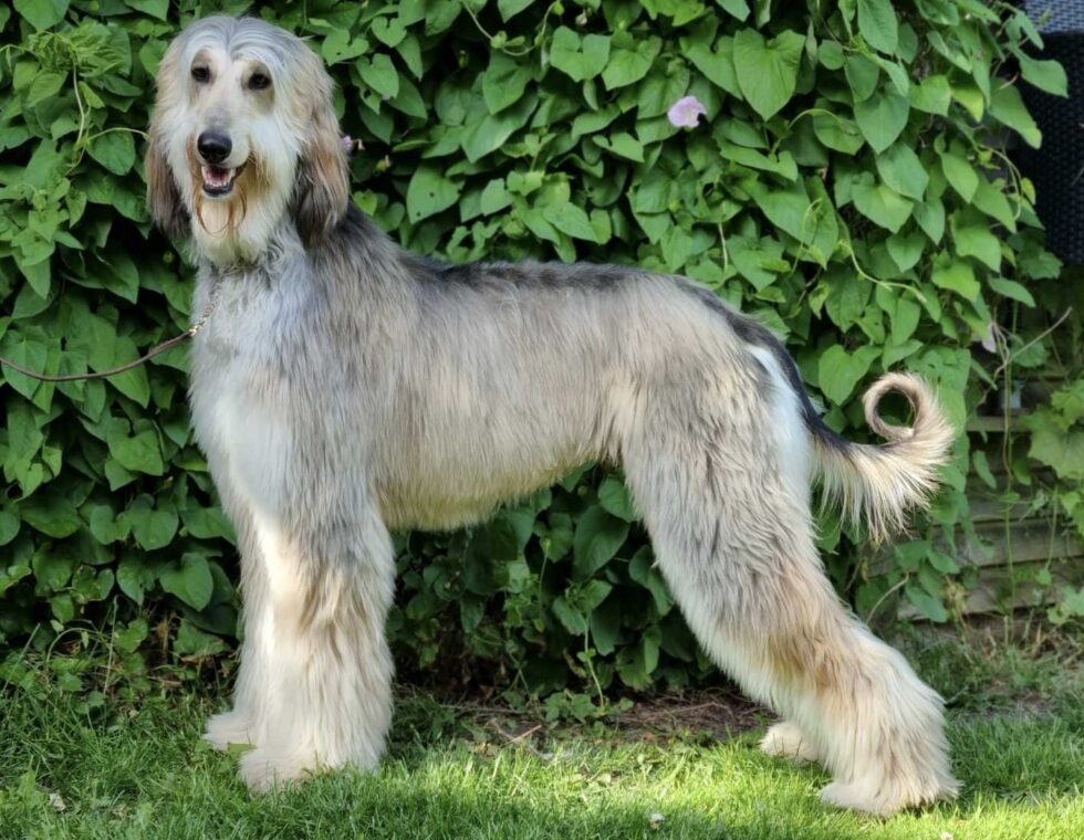 Velkommen til Myndeklubben