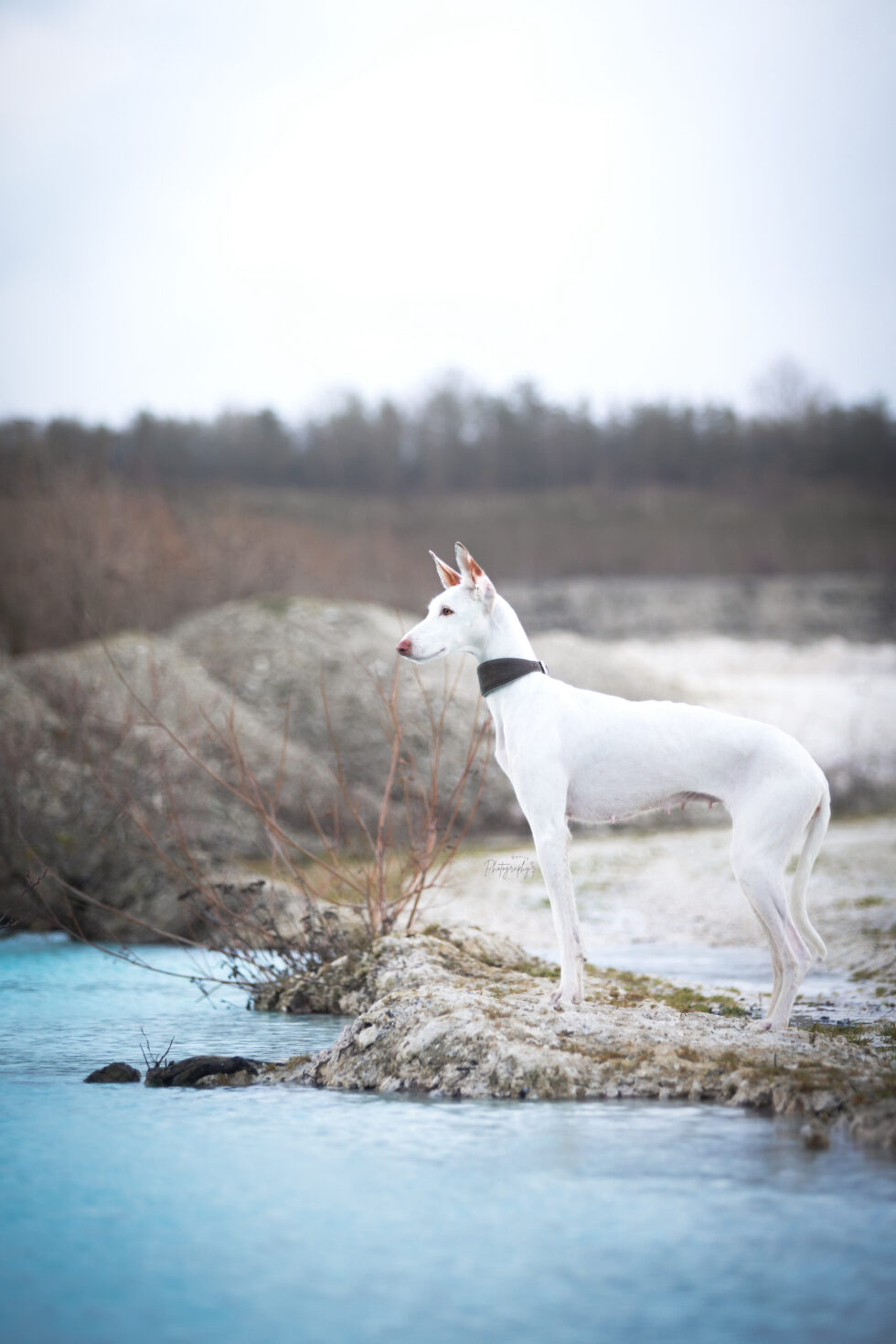 Velkommen til Myndeklubben