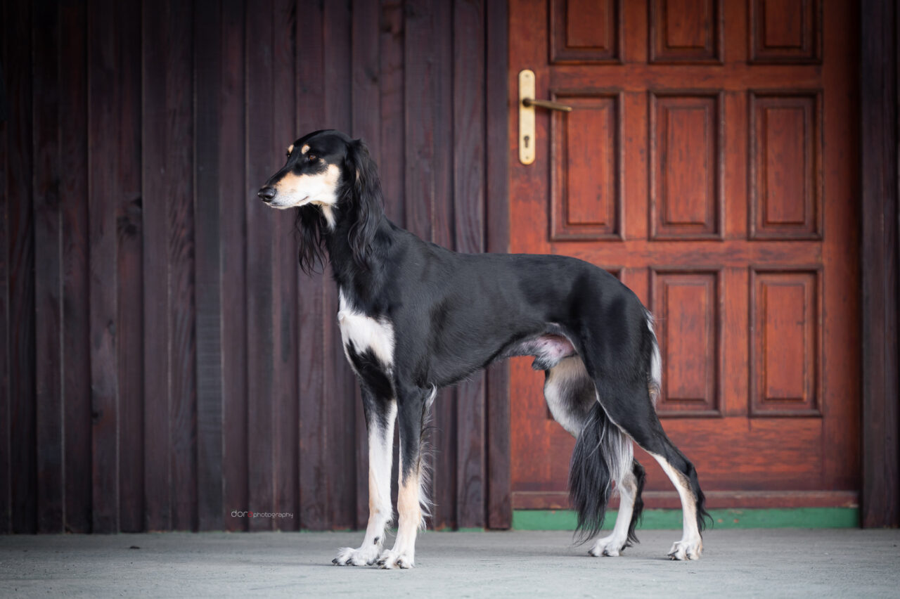 Velkommen til Myndeklubben
