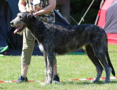 Velkommen til Myndeklubben
