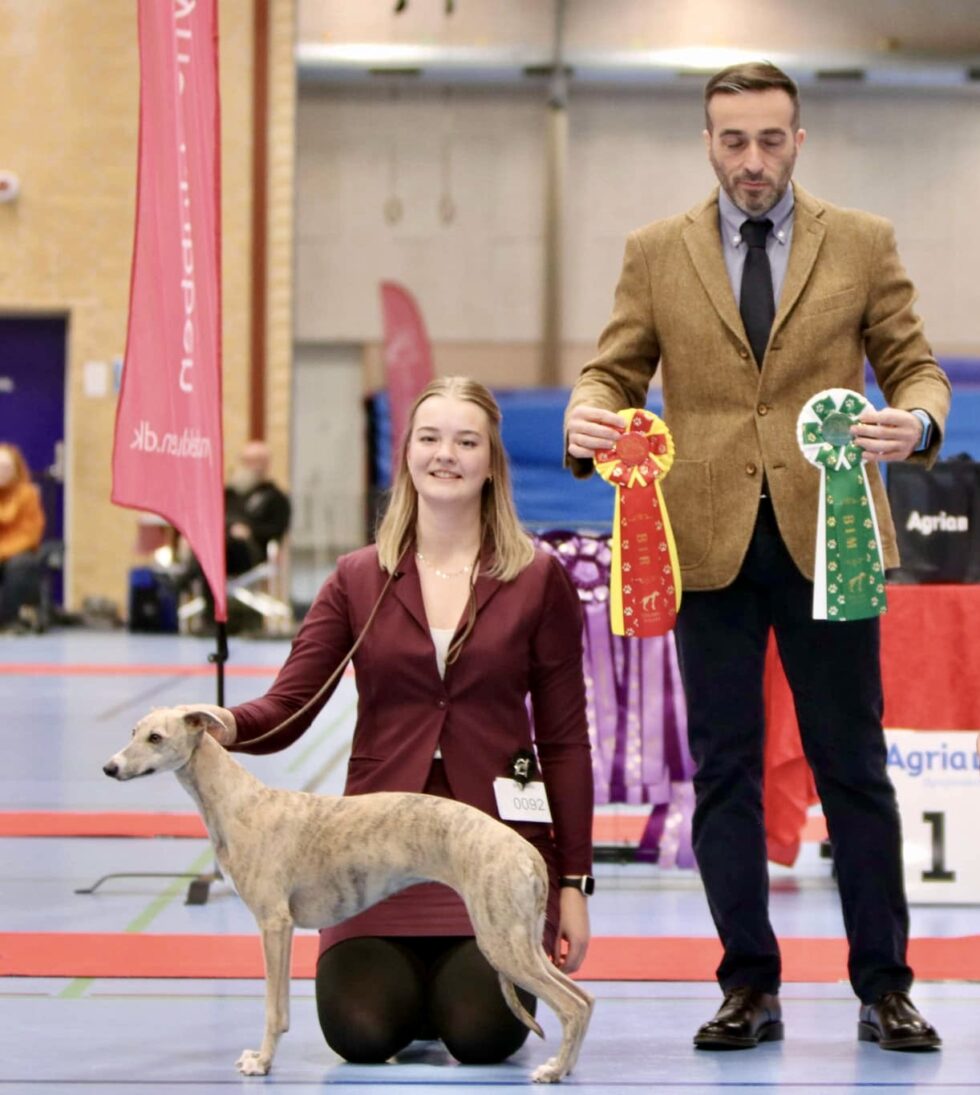 Velkommen til Myndeklubben